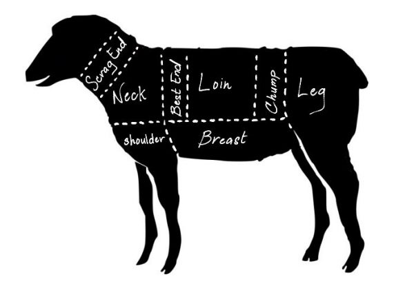 Middle of Lamb Neck (Scrag) - Farm Butchers